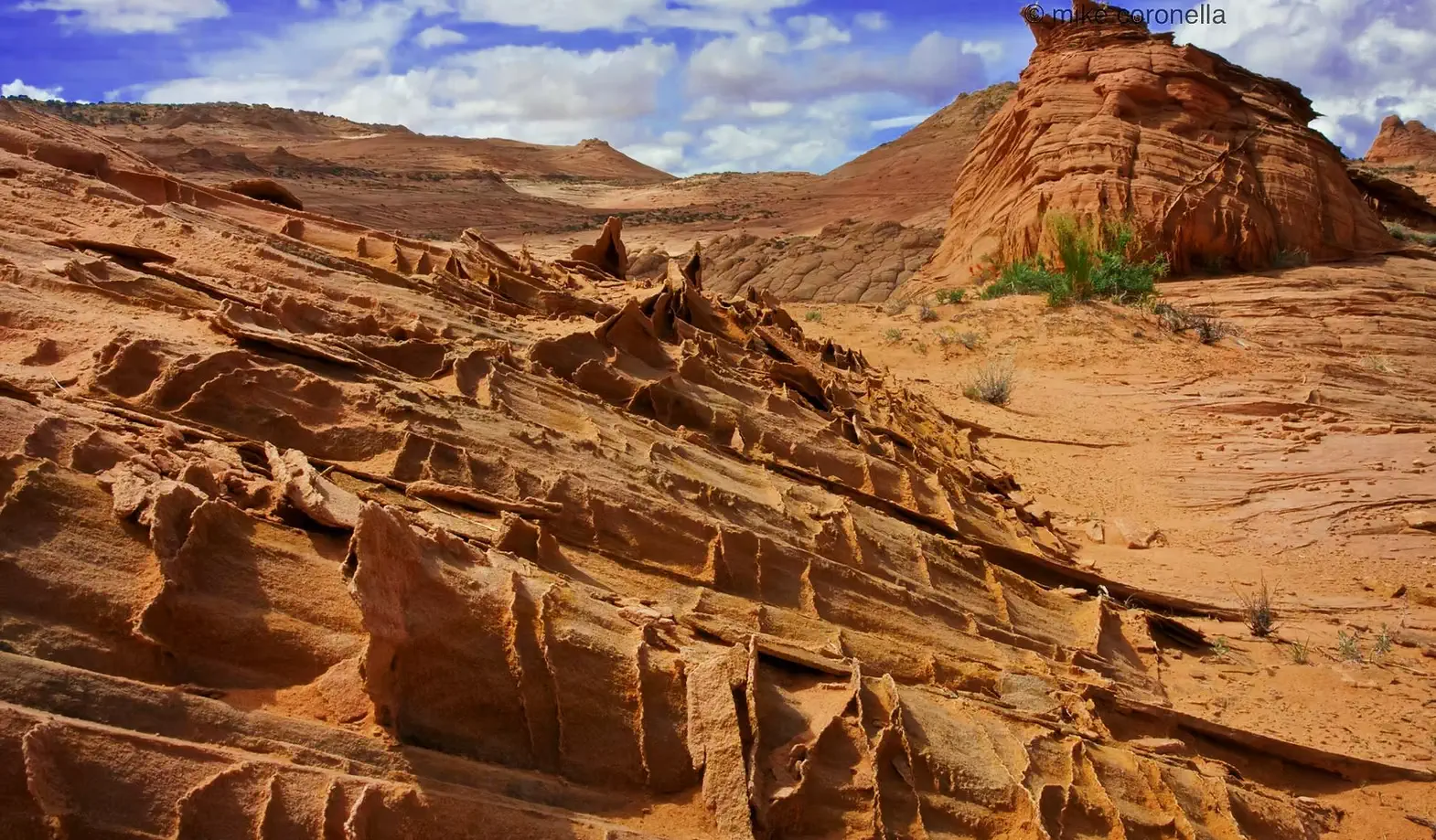 About Us: Deep Desert Expeditions & Tours In Moab, Utah