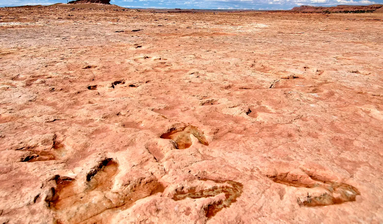 See Dinosaur Tracks On A Private Guided Tour In Moab, Utah