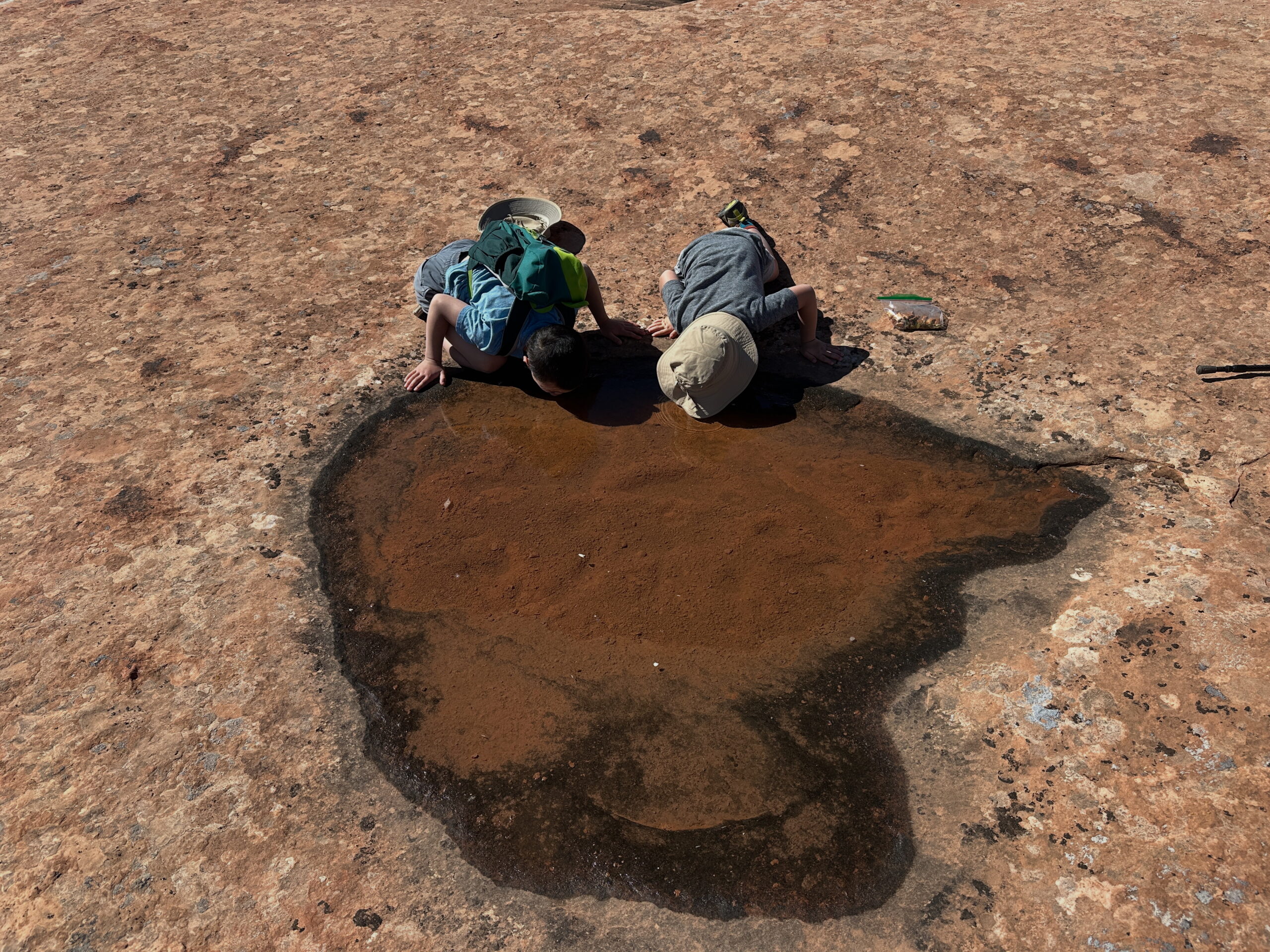 Feral kids | Deep Desert Expeditions