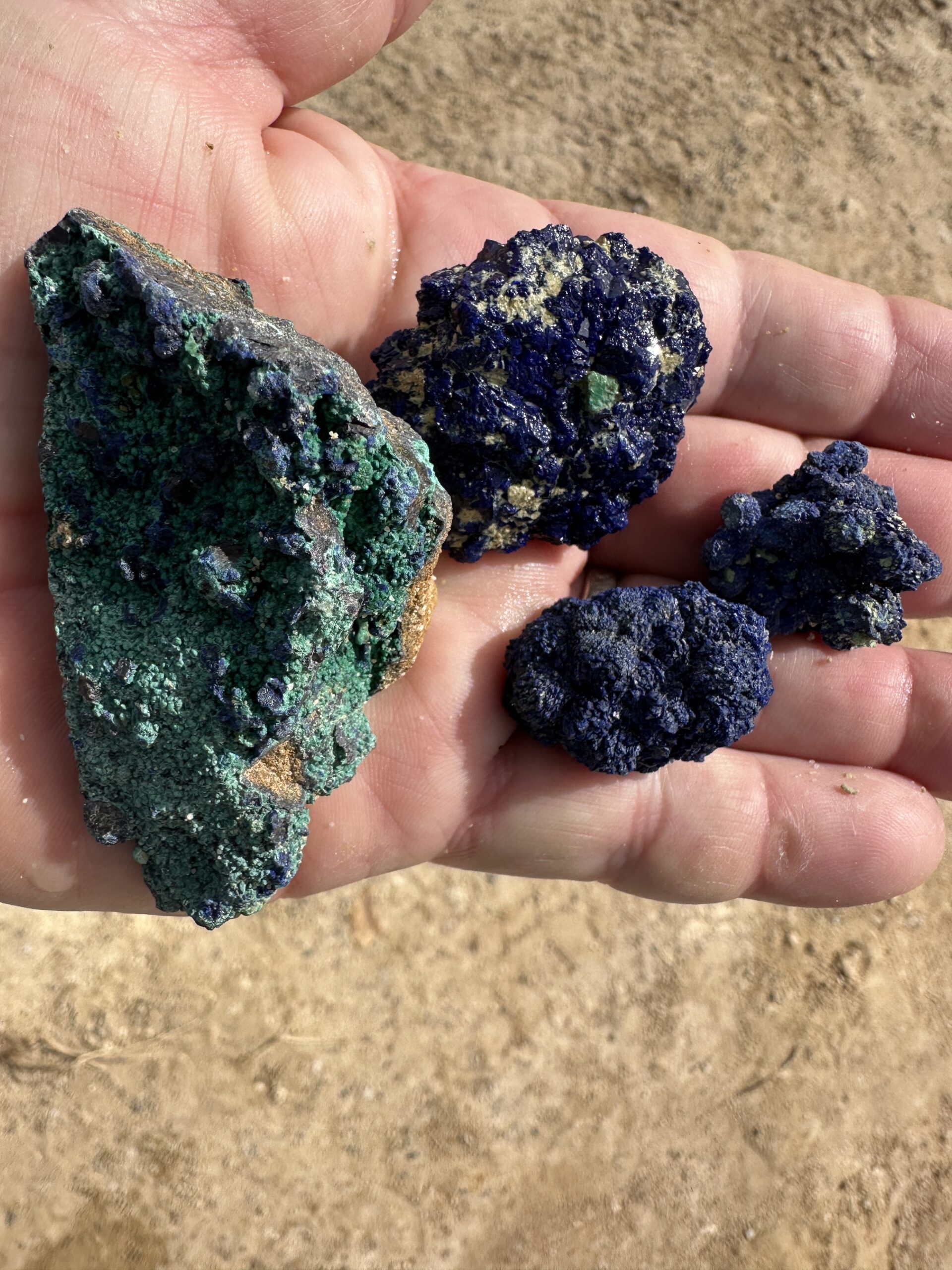 Rockhound paradise! | Deep Desert Expeditions